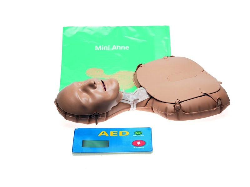 103-00050 - Mini Anne global