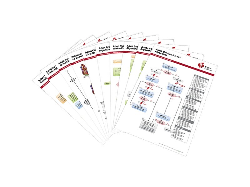 Acls Algorithm Cards 2020 BLS Reference Card : AHA: Amazon.sg: Books