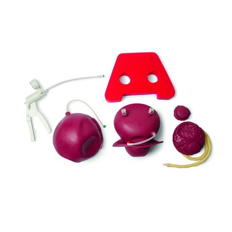 SIMMOM PPH MODULE KIT | Laerdal Medical