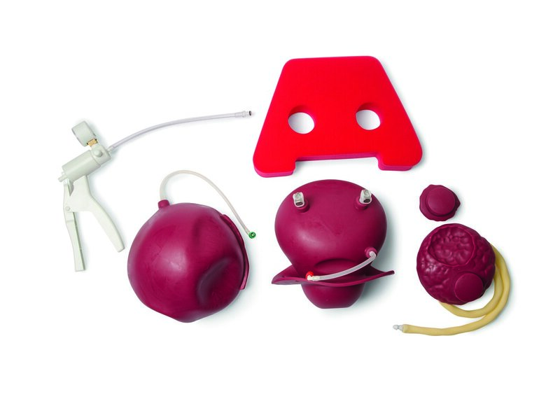 377-14050 - SimMom PPH Module Kit